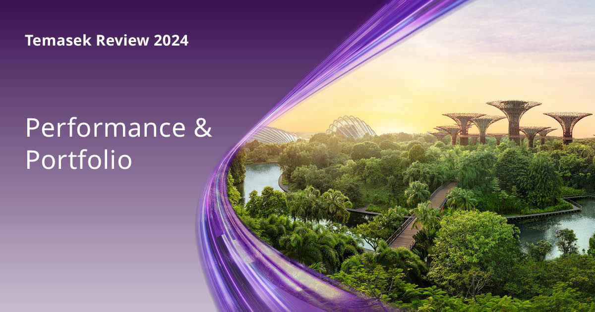 Performance and Portfolio | Temasek Review 2024